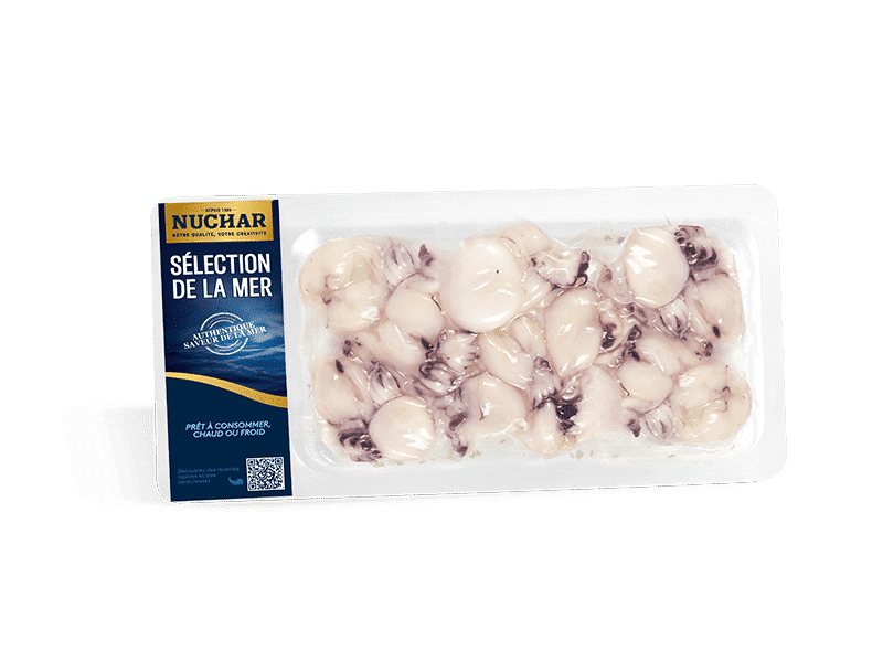 Autres céphalopodes Archives | NUCHAR